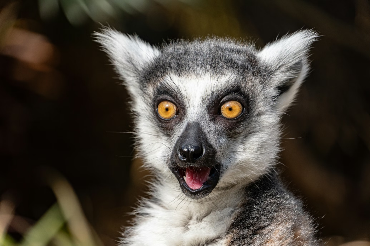 Practical Emotional Awareness Exercises for Everyday Life | Premiumjoy ...